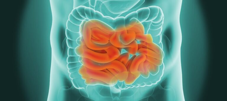 Small Intestine Cancer – Cancer A-Z